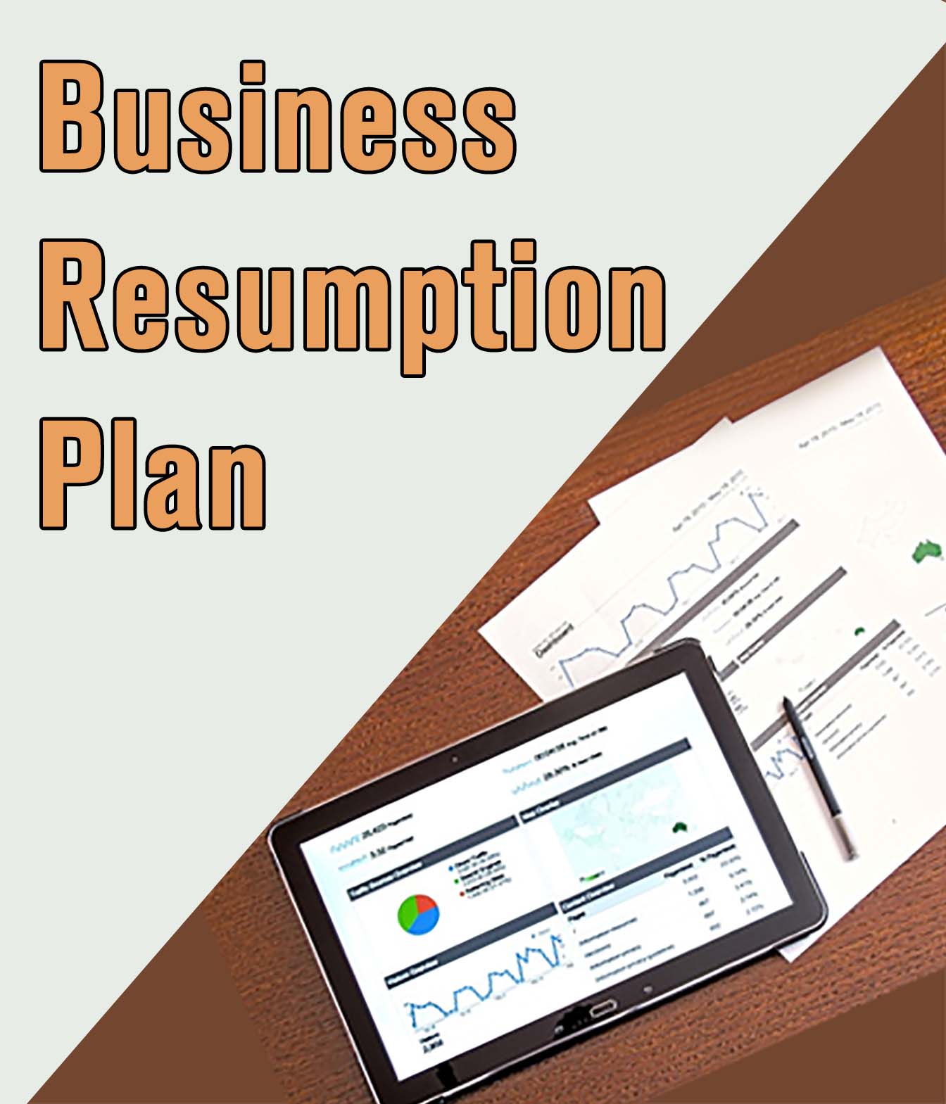 Business Resumption Plan (BRP)